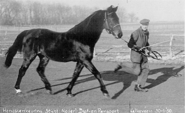 Archief van de Ned. Draf- en Rensport