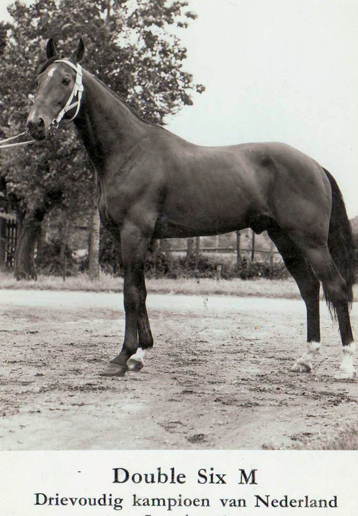 Archief van de Ned. Draf- en Rensport