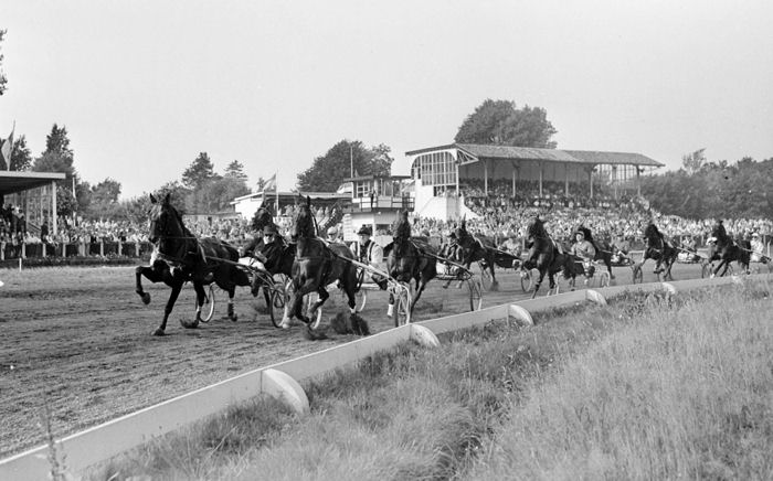 Archief van de Ned. Draf- en Rensport