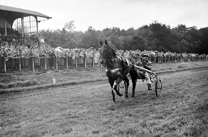 Archief van de Ned. Draf- en Rensport