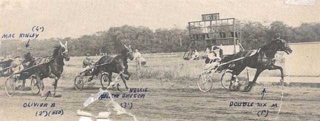 Archief van de Ned. Draf- en Rensport