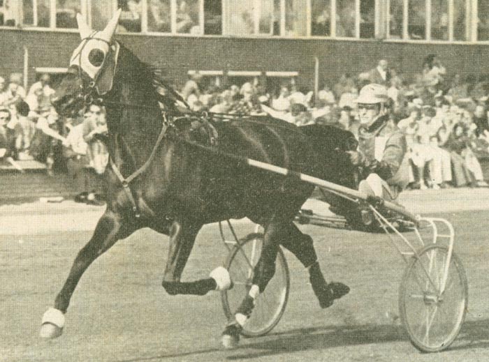 Archief van de Ned. Draf- en Rensport