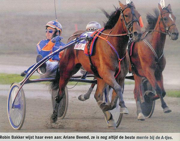 Archief van de Ned. Draf- en Rensport