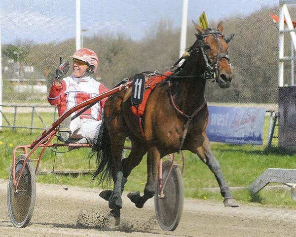 Archief van de Ned. Draf- en Rensport