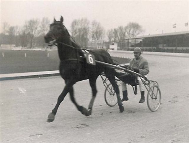 Archief van de Ned. Draf- en Rensport