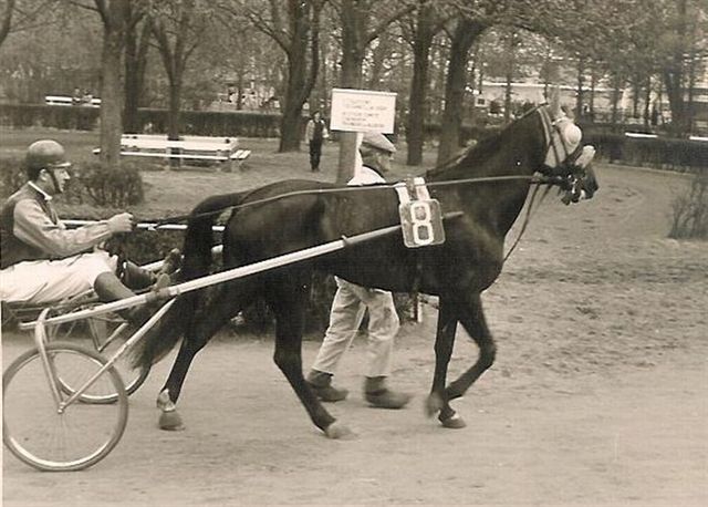 Archief van de Ned. Draf- en Rensport