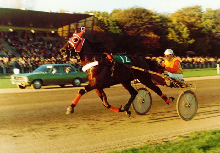 Archief van de Ned. Draf- en Rensport