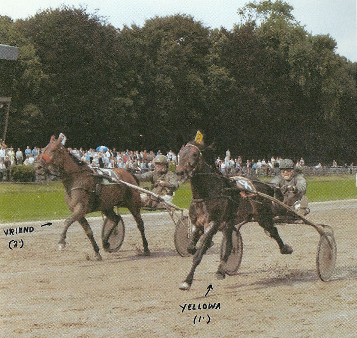 Archief van de Ned. Draf- en Rensport