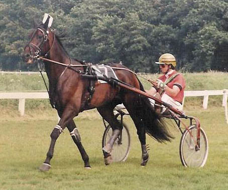 Archief van de Ned. Draf- en Rensport