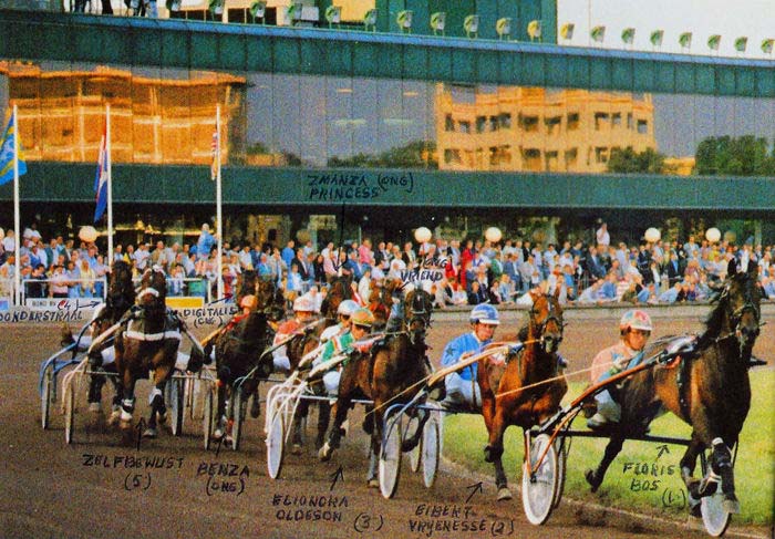 Archief van de Ned. Draf- en Rensport