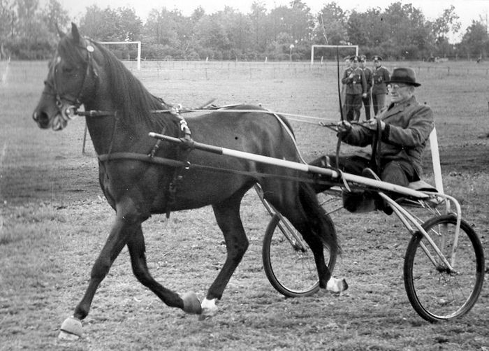 Archief van de Ned. Draf- en Rensport