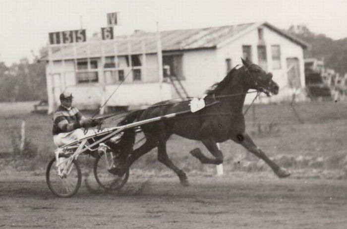 Archief van de Ned. Draf- en Rensport