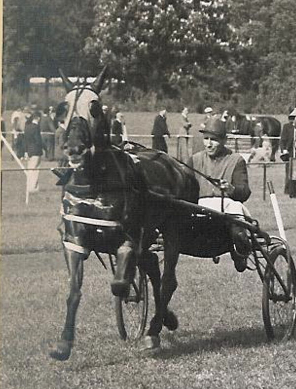 Archief van de Ned. Draf- en Rensport