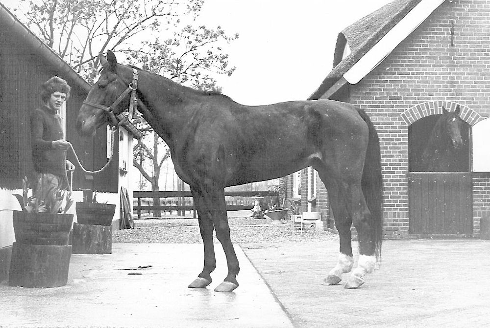 Archief van de Ned. Draf- en Rensport