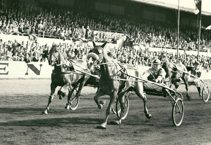 Archief van de Ned. Draf- en Rensport