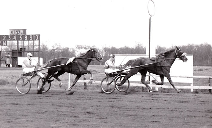 Archief van de Ned. Draf- en Rensport