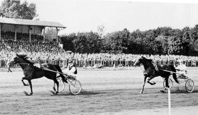 Archief van de Ned. Draf- en Rensport