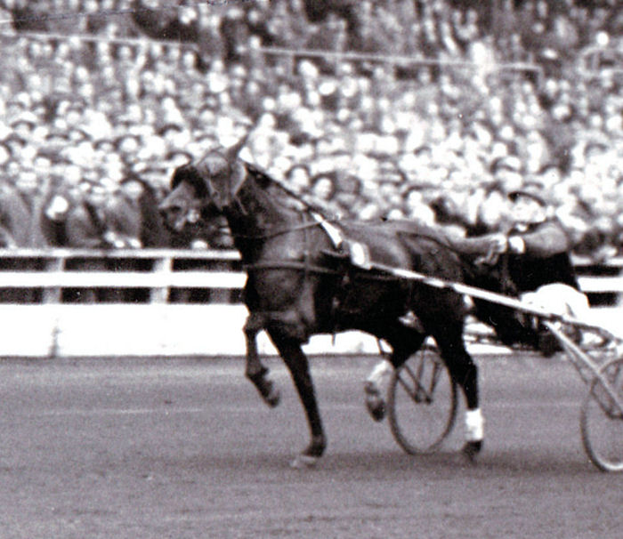 Archief van de Ned. Draf- en Rensport