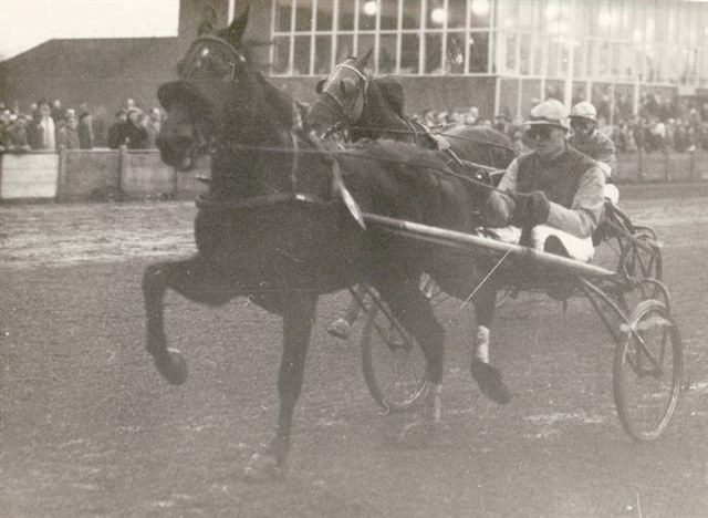 Archief van de Ned. Draf- en Rensport