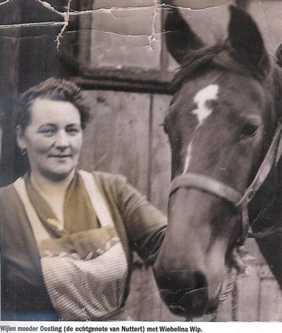 Archief van de Ned. Draf- en Rensport