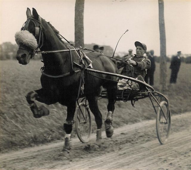 Archief van de Ned. Draf- en Rensport