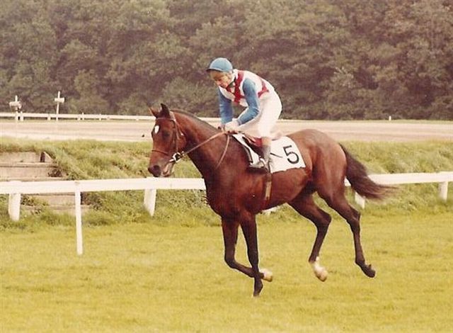 Archief van de Ned. Draf- en Rensport