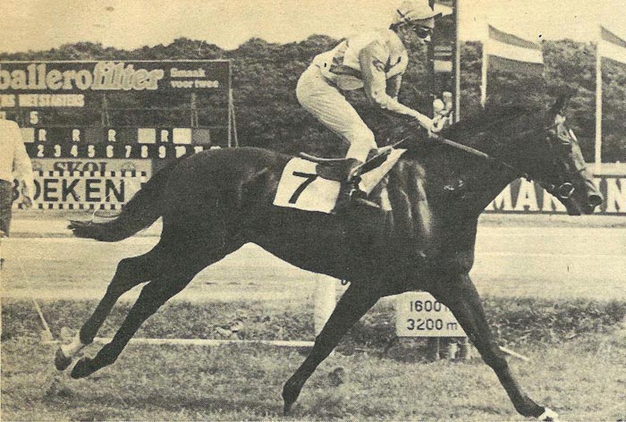 Archief van de Ned. Draf- en Rensport