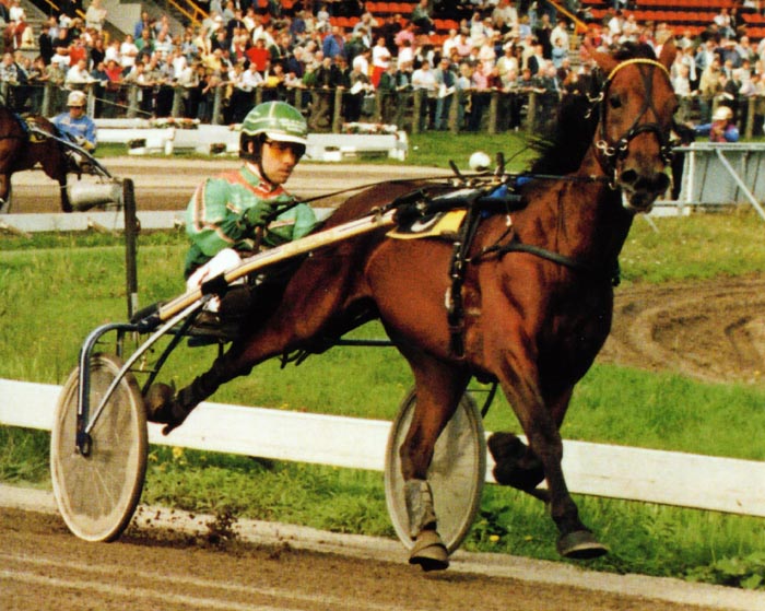 Archief van de Ned. Draf- en Rensport